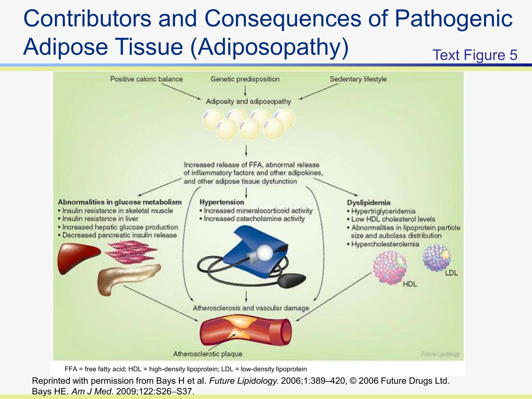 mmc1 fatty acid chemistry and disease.ppt