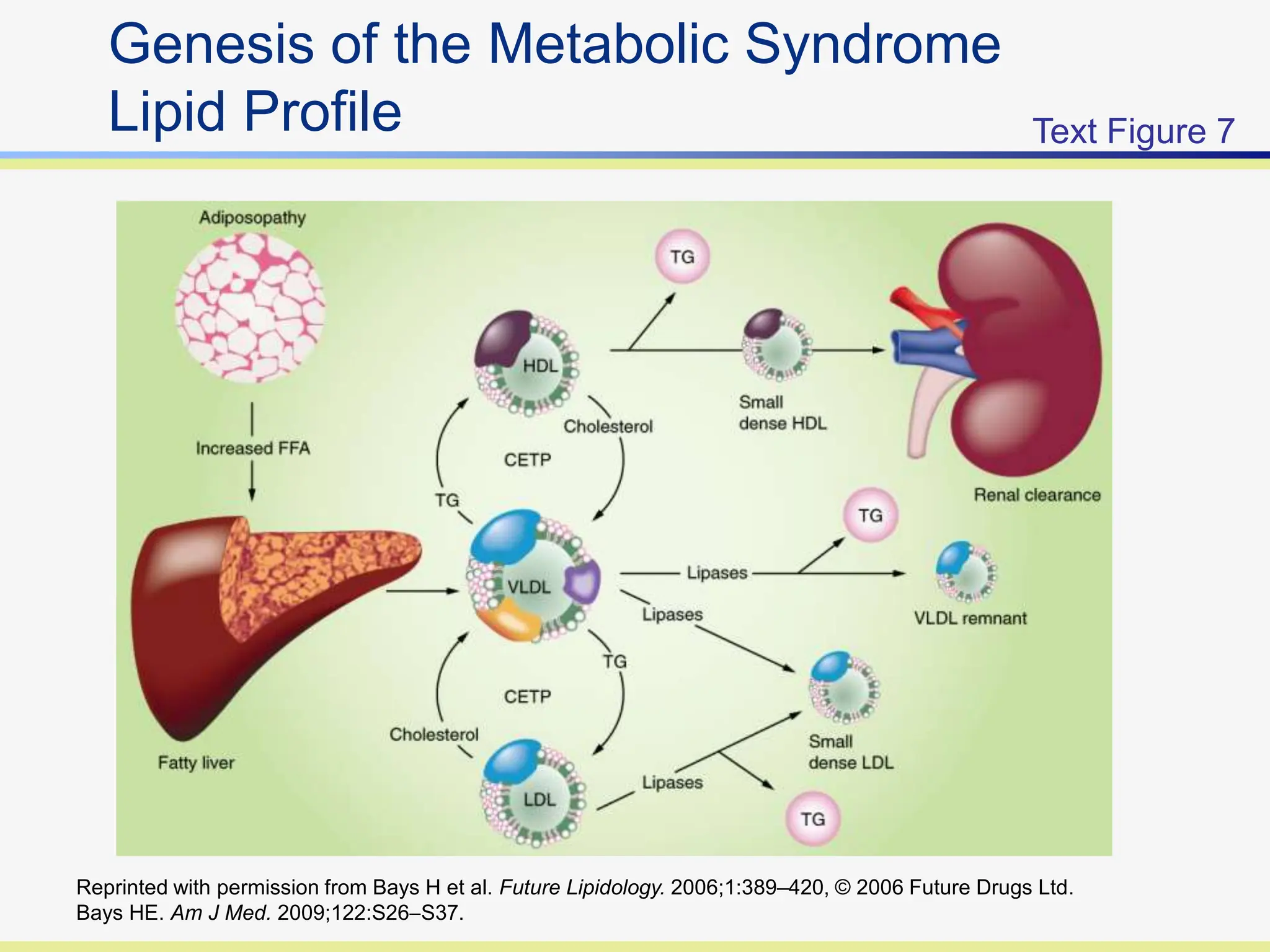 mmc1 fatty acid chemistry and disease.ppt