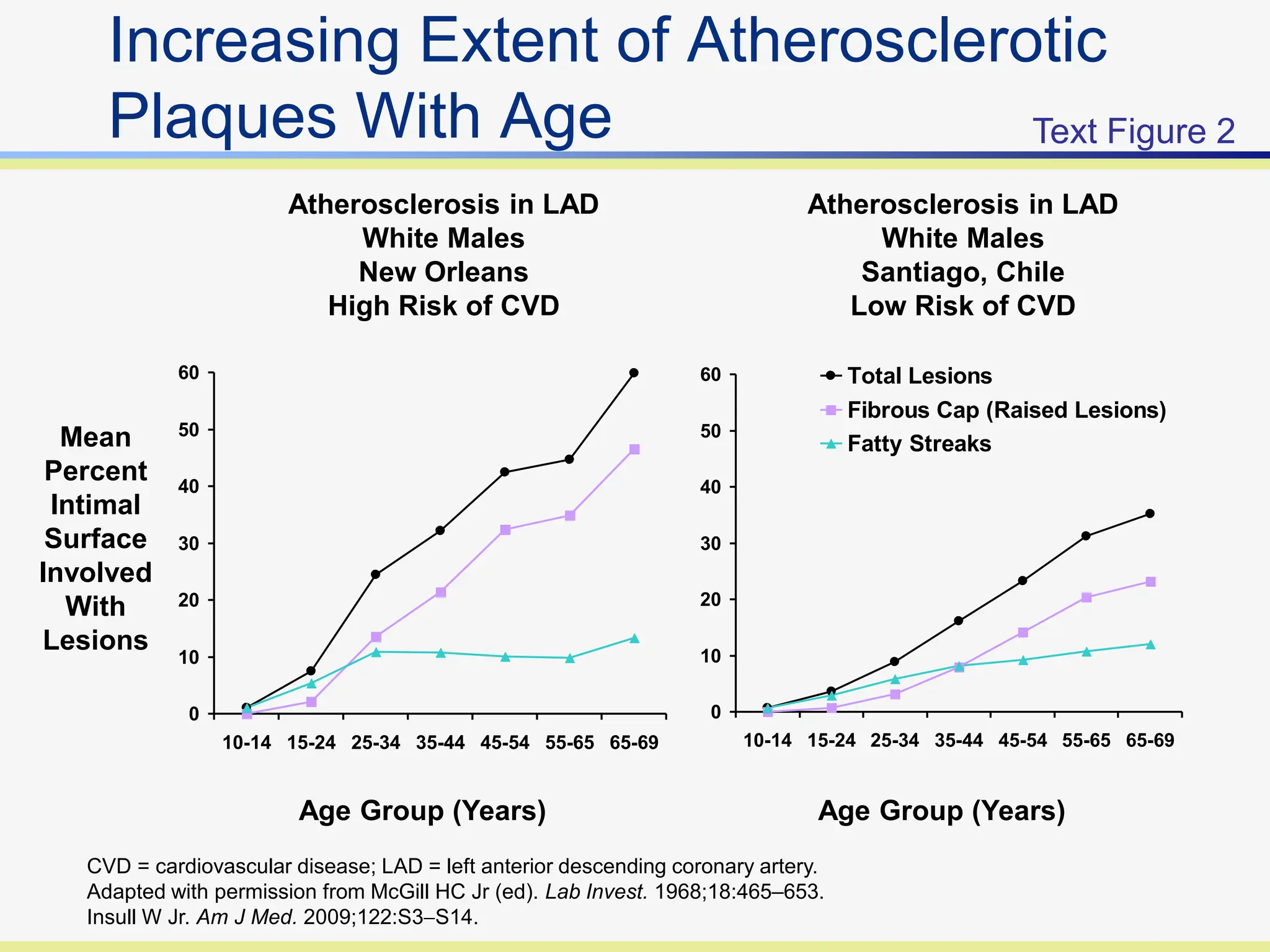 Pathogenesis of atherosclerosis mmc1.ppt