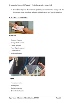 Organization study of credit co-operative society | PDF