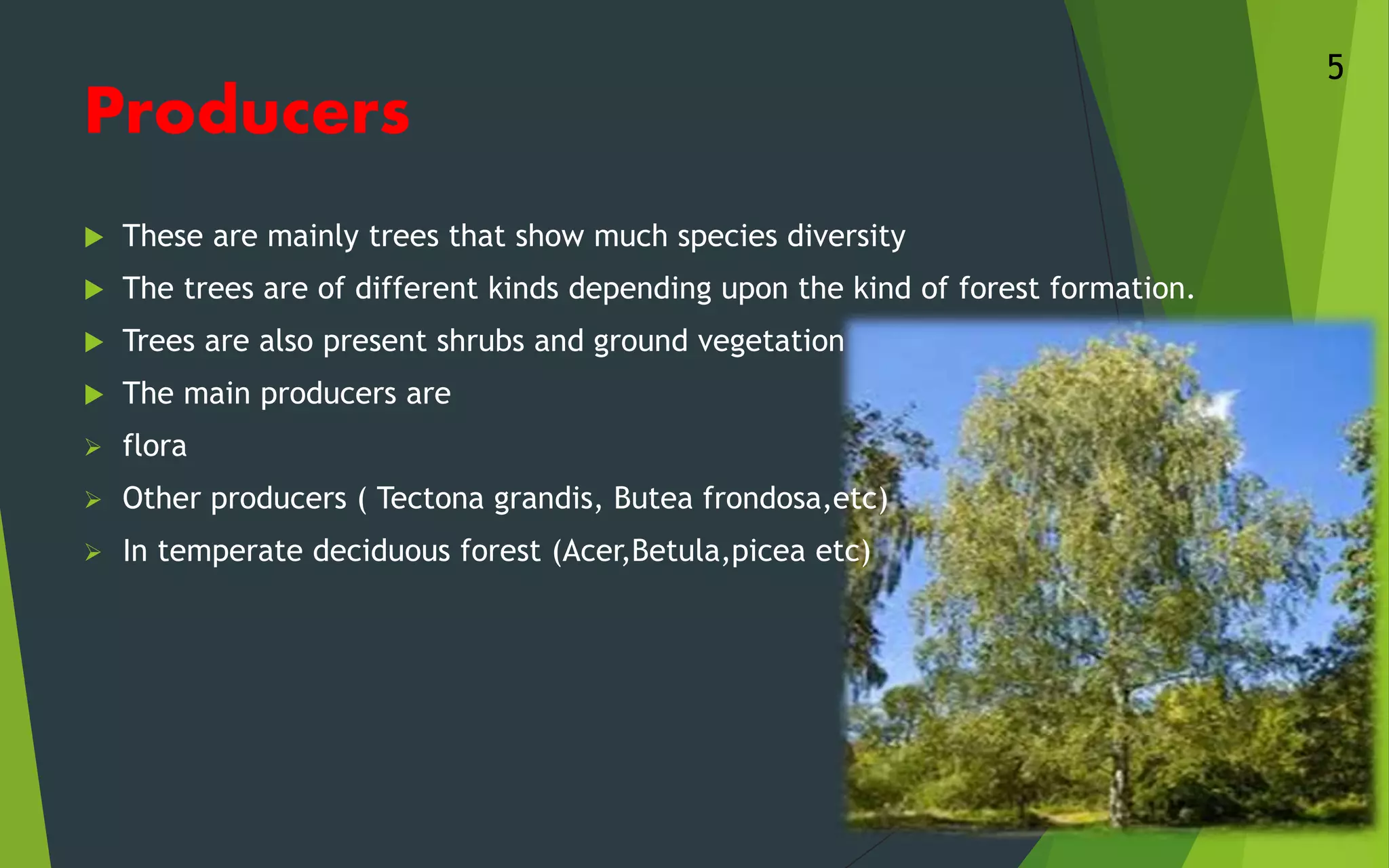 Forest ecosystem | PPTX