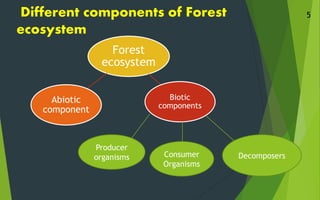 Forest ecosystem | PPTX