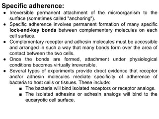 Microbes, Man and Environment(bacterial adhesion).pptx