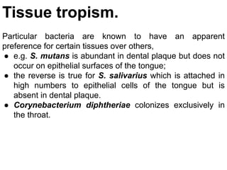 Microbes, Man and Environment(bacterial adhesion).pptx