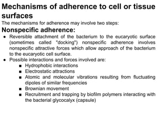 Microbes, Man and Environment(bacterial adhesion).pptx