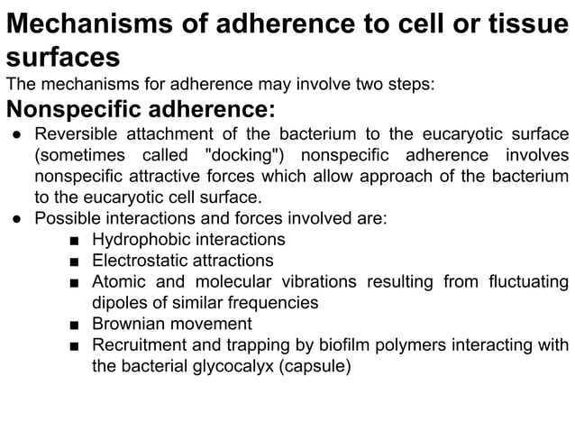 Microbes, Man and Environment(bacterial adhesion).pptx