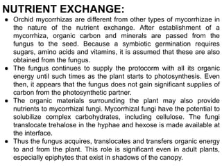 Microbes, Man and Environment (orchid mycorrhizae).pptx