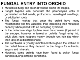 Microbes, Man and Environment (orchid mycorrhizae).pptx