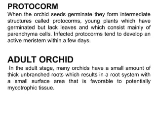 Microbes, Man and Environment (orchid mycorrhizae).pptx