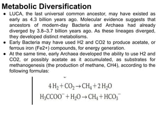 Microbes, Man and Environment (Microbial Evolution & Phylogeny ).pptx