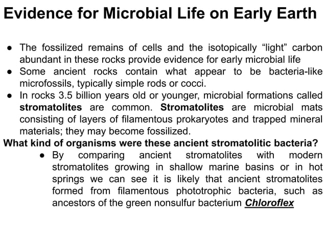 Microbes, Man and Environment (Microbial Evolution & Phylogeny ).pptx ...