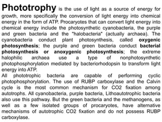 Microbes, Man and Environment (Microbial metabolism) .pptx