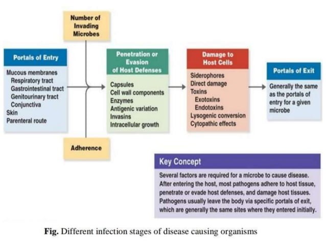 Microbes, Man and Environment (Microbial pathogenicity) .pptx