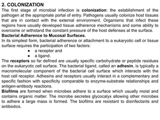 Microbes, Man and Environment (Microbial pathogenicity) .pptx