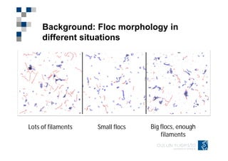 On-line optical monitoring of activated sludge floc morphopoly | PDF ...