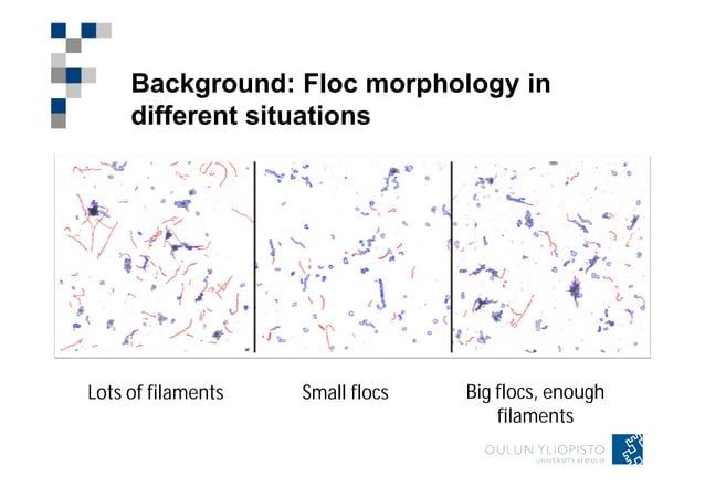 On-line optical monitoring of activated sludge floc morphopoly | PPT