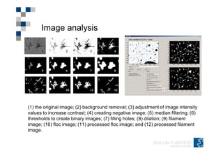 On-line optical monitoring of activated sludge floc morphopoly | PDF ...