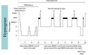 Functions of hypothalamus and circadian rhythms | PDF