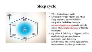 Functions of hypothalamus and circadian rhythms | PDF