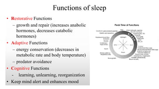 Functions of hypothalamus and circadian rhythms | PDF
