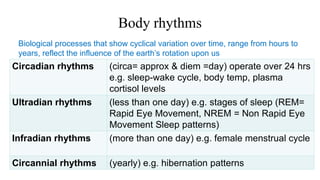 Functions of hypothalamus and circadian rhythms | PDF