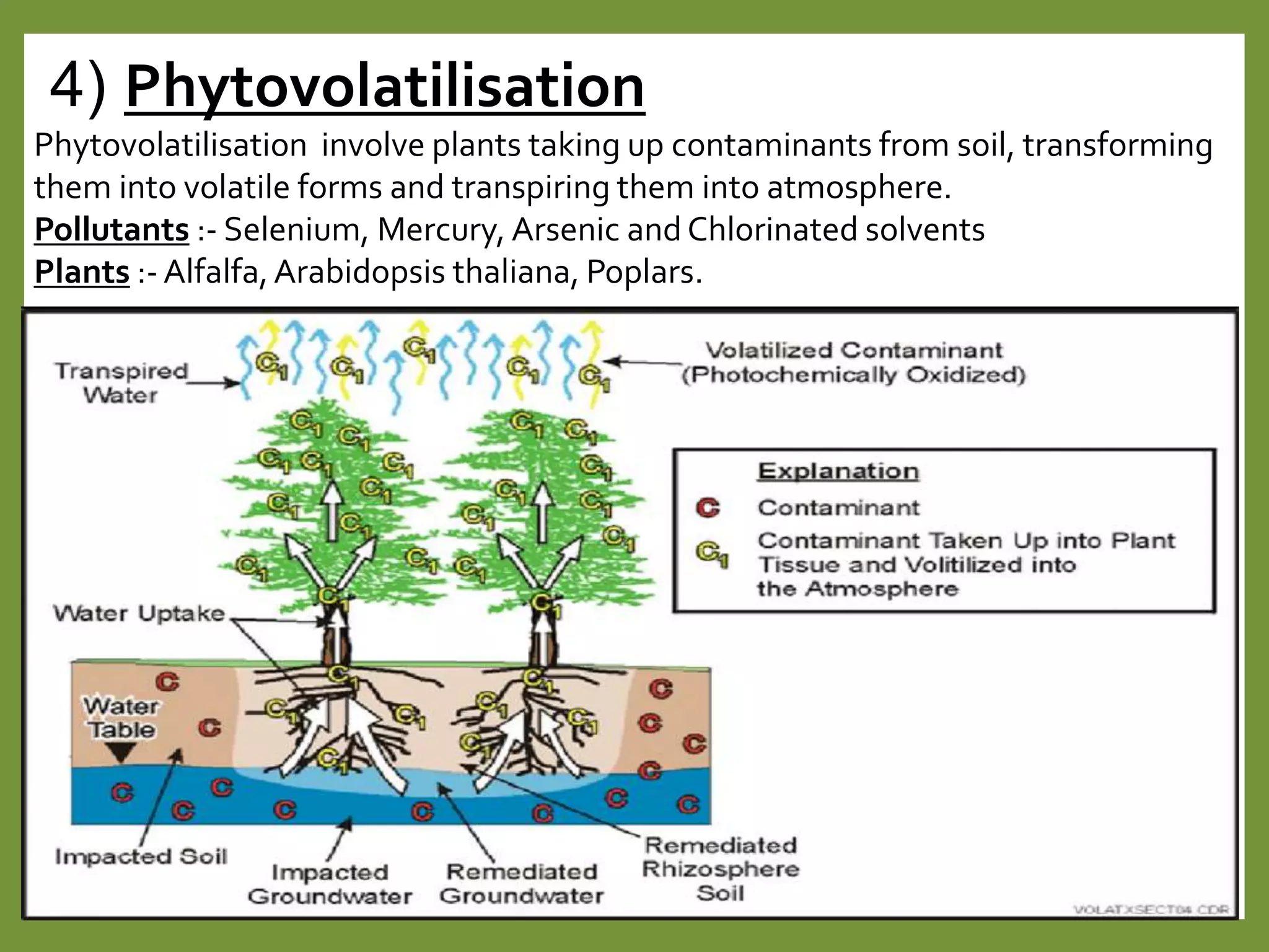 Phytoremediation and its mechanism - simran sonule | PPTX