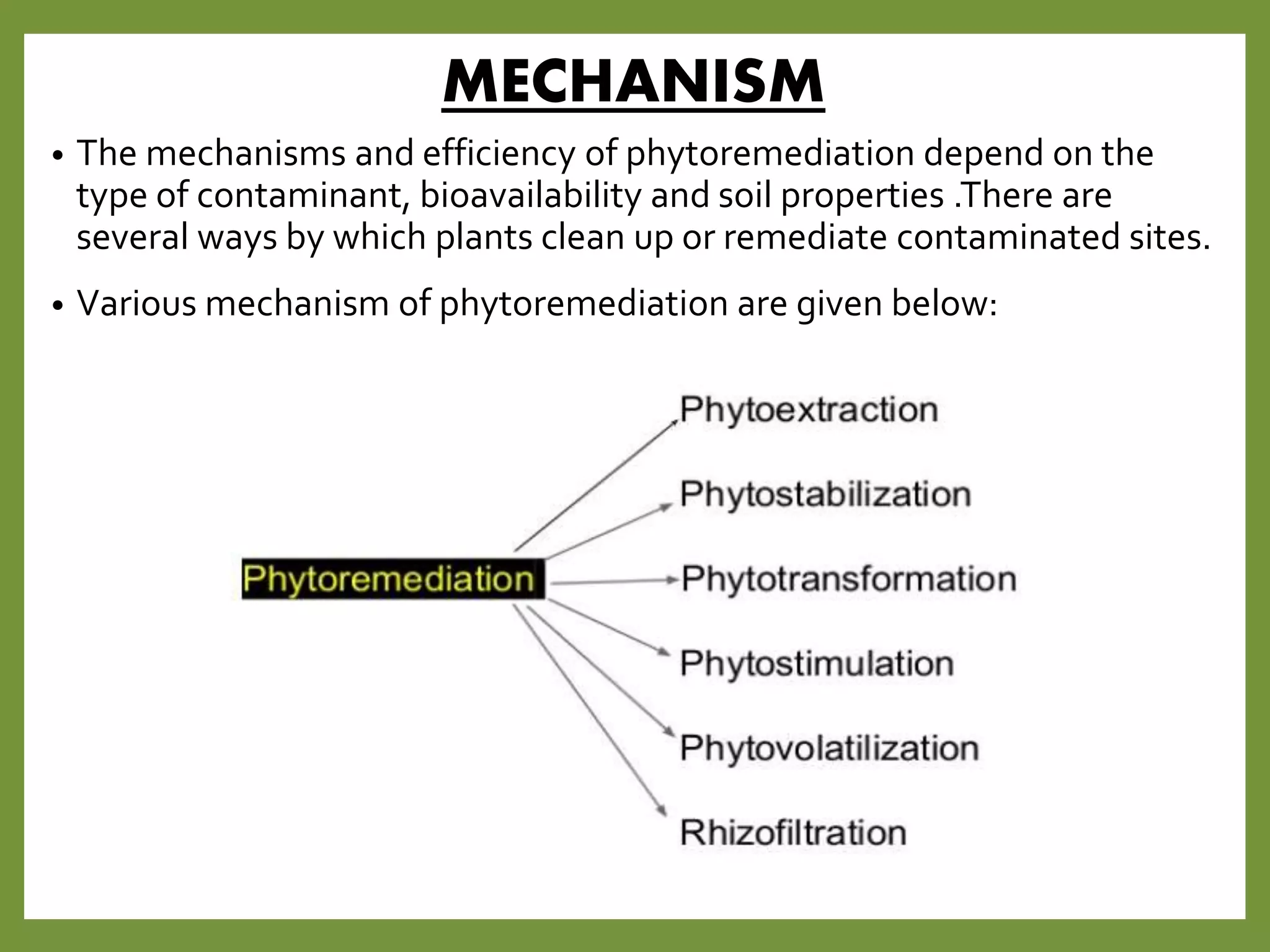 Phytoremediation and its mechanism - simran sonule | PPTX