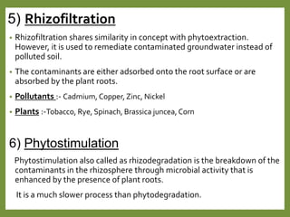 Phytoremediation and its mechanism - simran sonule | PPTX