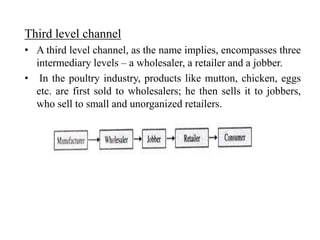 physical distribution network of maruti Suzuki | PPTX