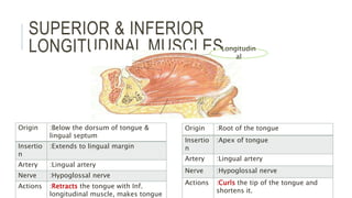 Muscles of the tongue | PPTX