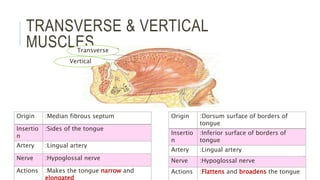 Muscles of the tongue | PPTX