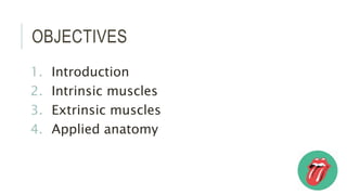 Muscles of the tongue | PPT
