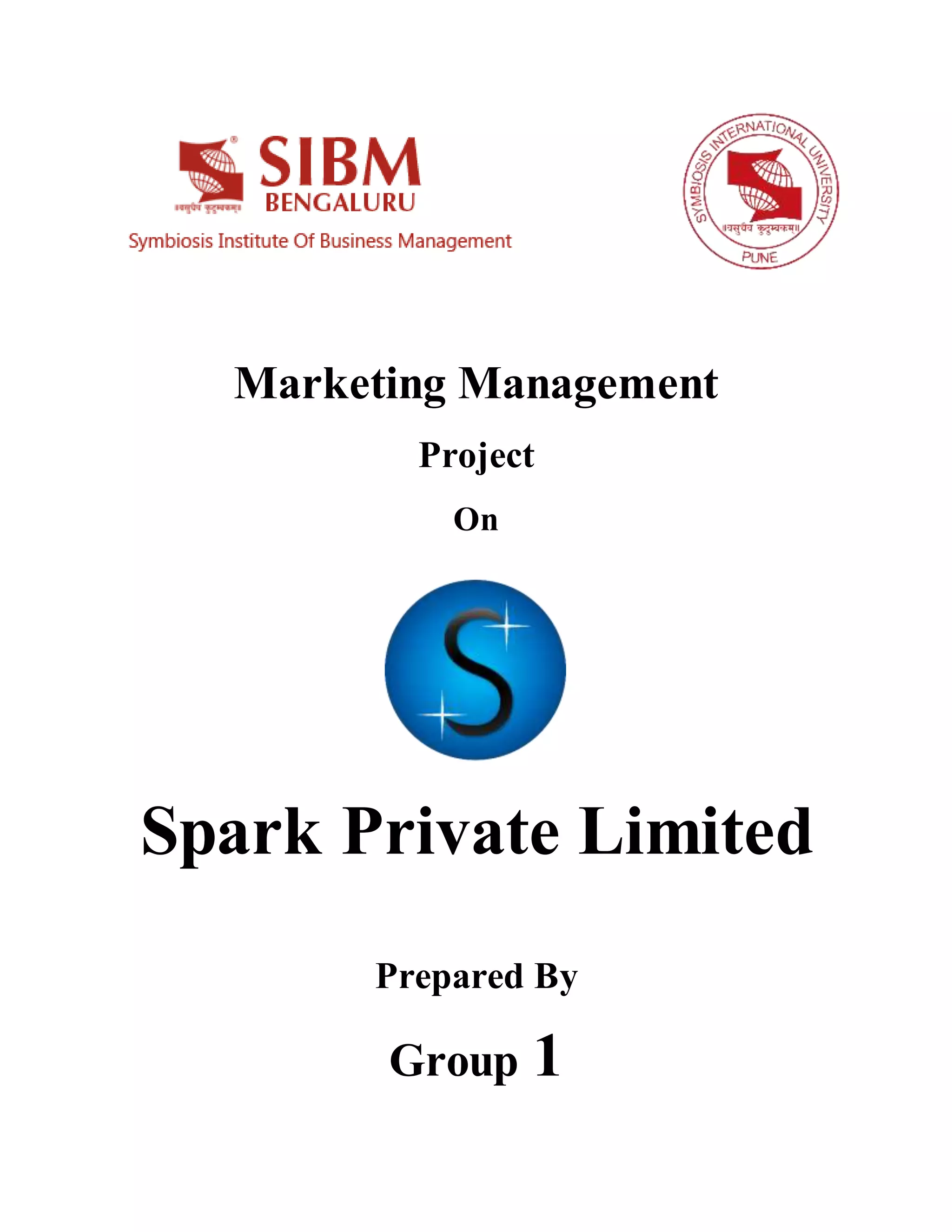 STP Project for a New Product | PDF
