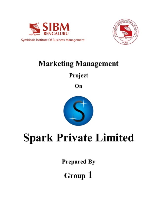 STP Project for a New Product | PDF