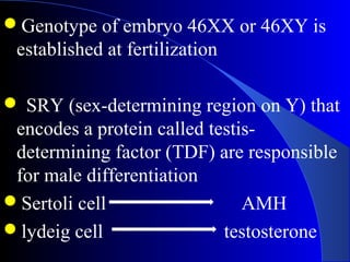 INTERSEX FOR UNDERGRADUATE | PPT