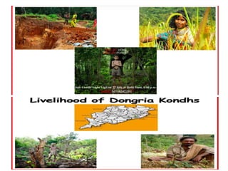 Niyamgiri : The Struggle of Dongria Kondh's against Vedanta | PPT