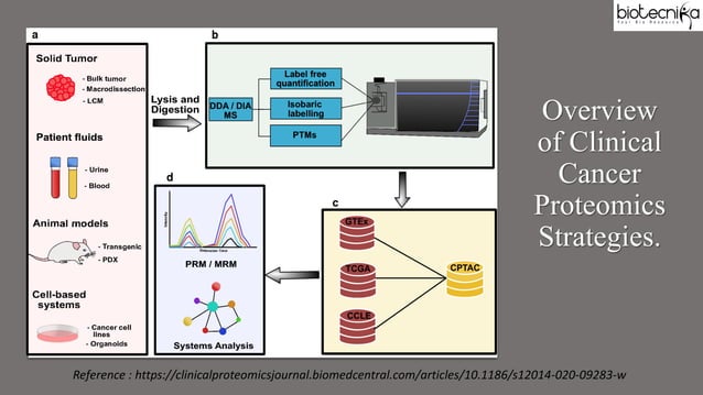 Mass Spectrometry Based Proteomic Analysis | PDF | Chemistry | Science