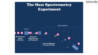 Mass Spectrometry Based Proteomic Analysis | PDF