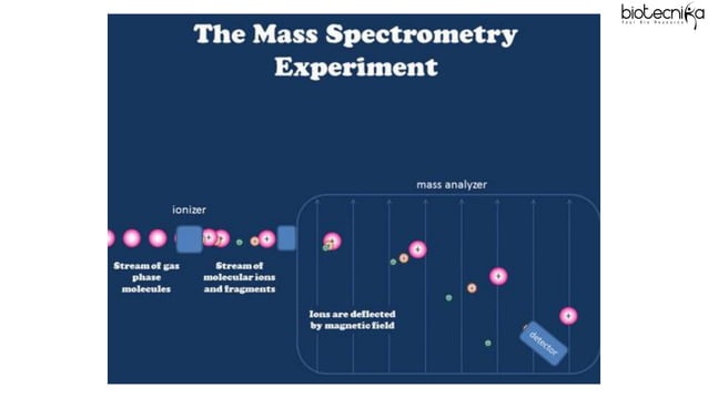 Mass Spectrometry Based Proteomic Analysis | PDF | Chemistry | Science