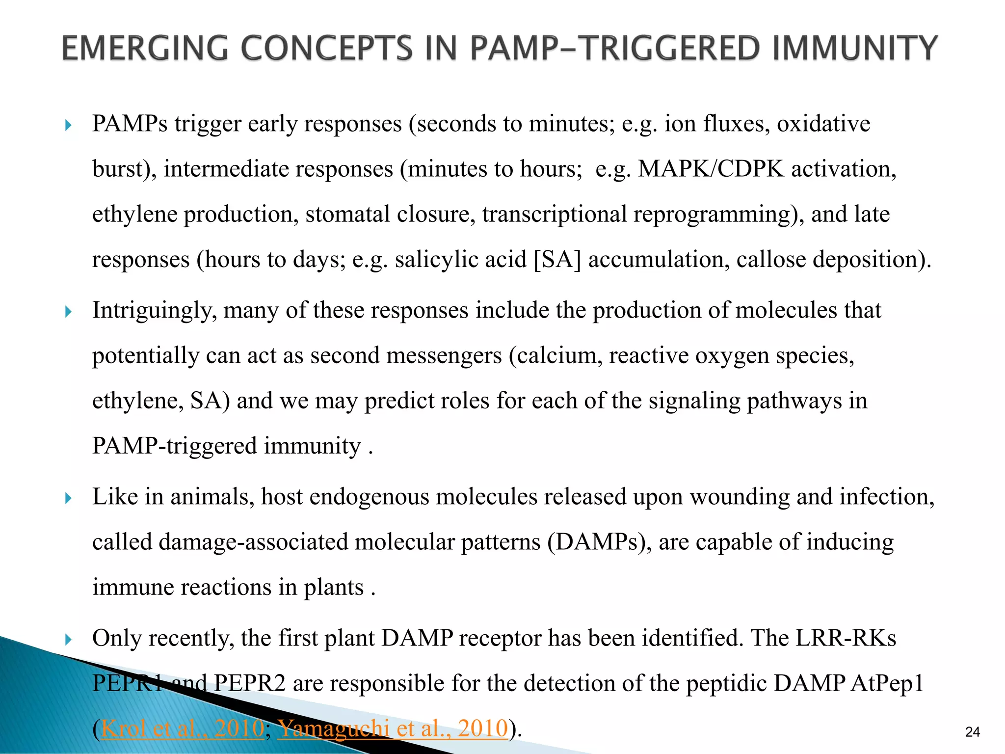 PAMP's | PDF