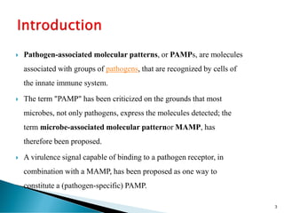 PAMP's | PDF