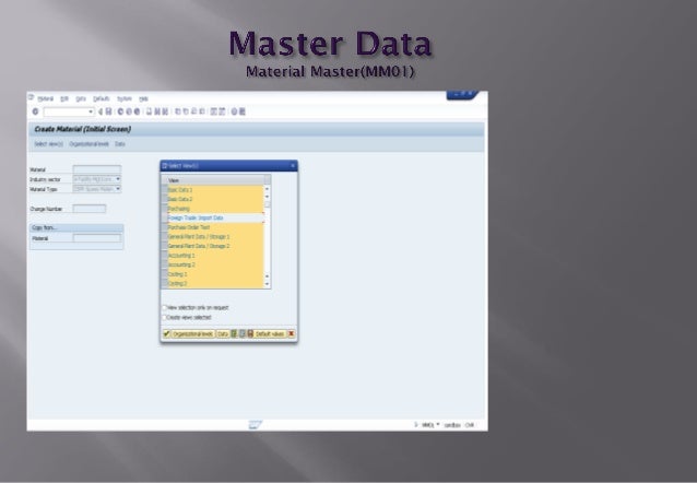 Master Data in Material Management