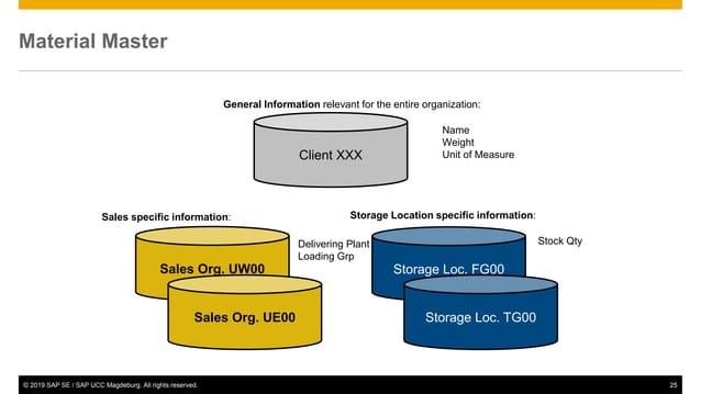 mm module.pdf