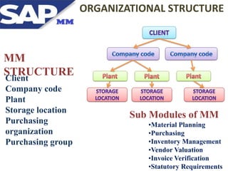 Mm module sap | PPTX