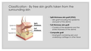 Burn Contracture and skin grafting ppt.pptx
