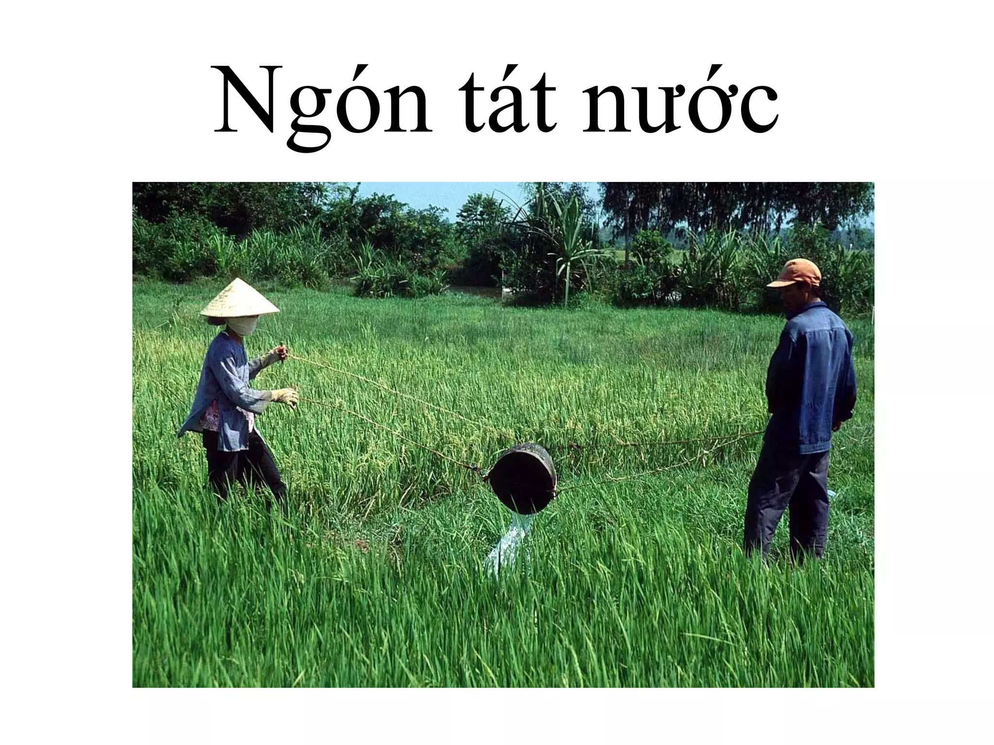 Mầm non Saigon academy - Đồng dao 10 ngón tay | PPT
