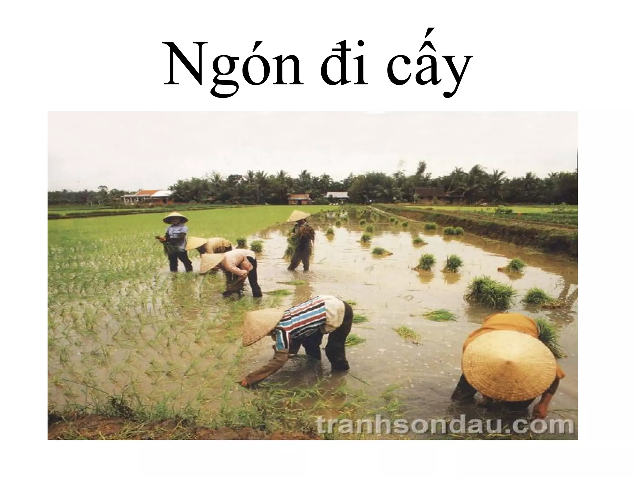 Mầm non Saigon academy - Đồng dao 10 ngón tay | PPT