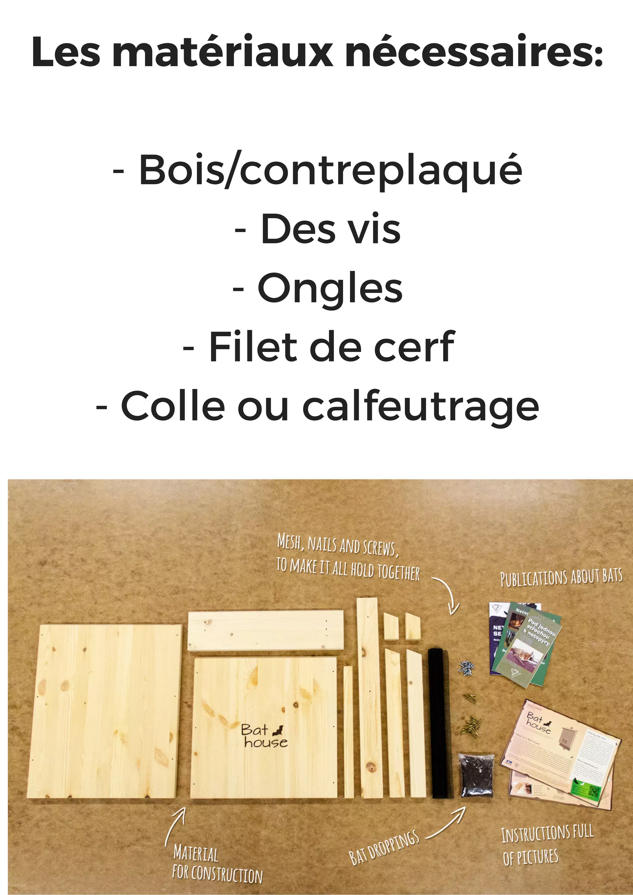 MMP - Eradication of Mosquitoes with DIY Bat Houses & Electronic Pest ...