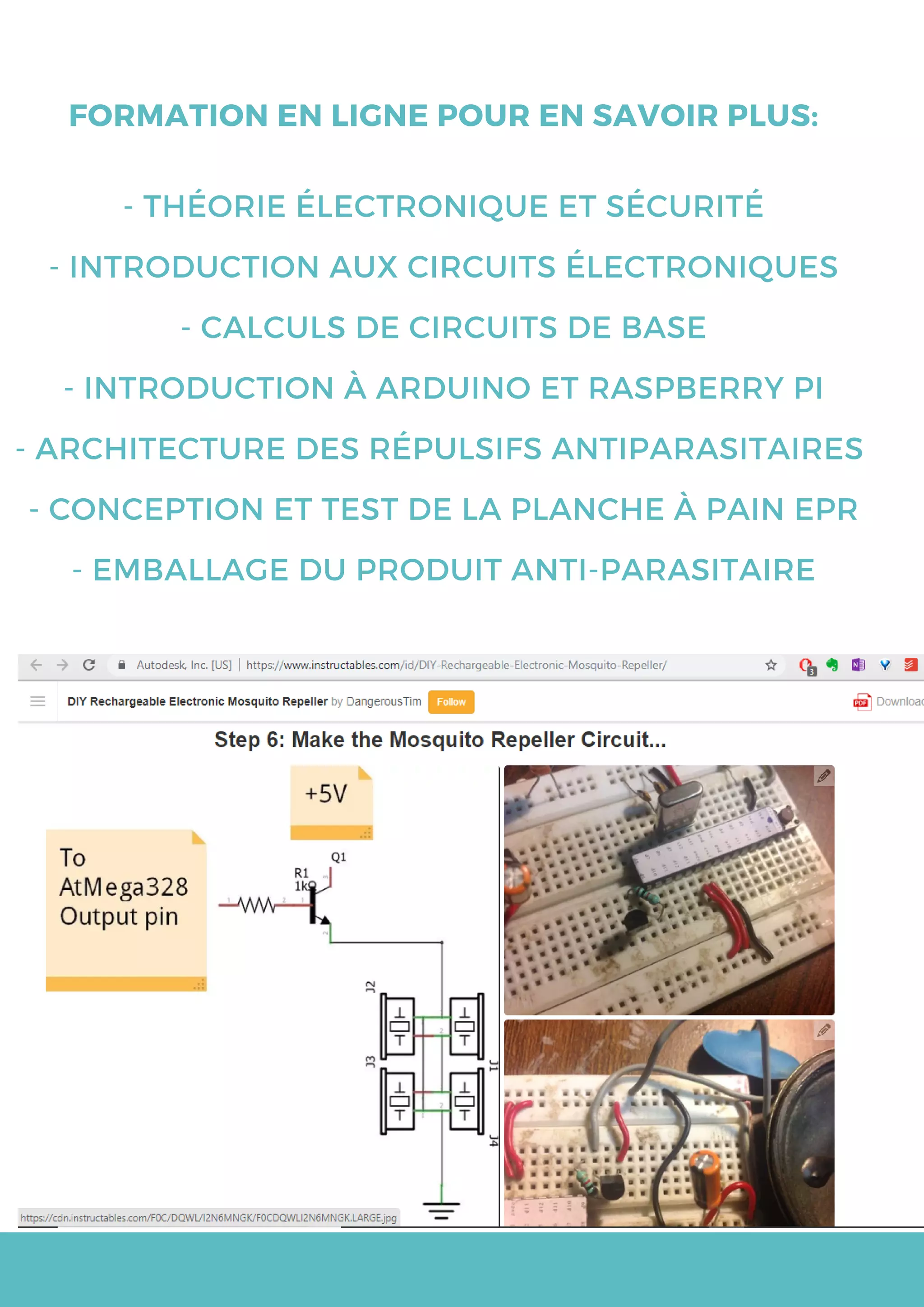 MMP - Eradication of Mosquitoes with DIY Bat Houses & Electronic Pest ...