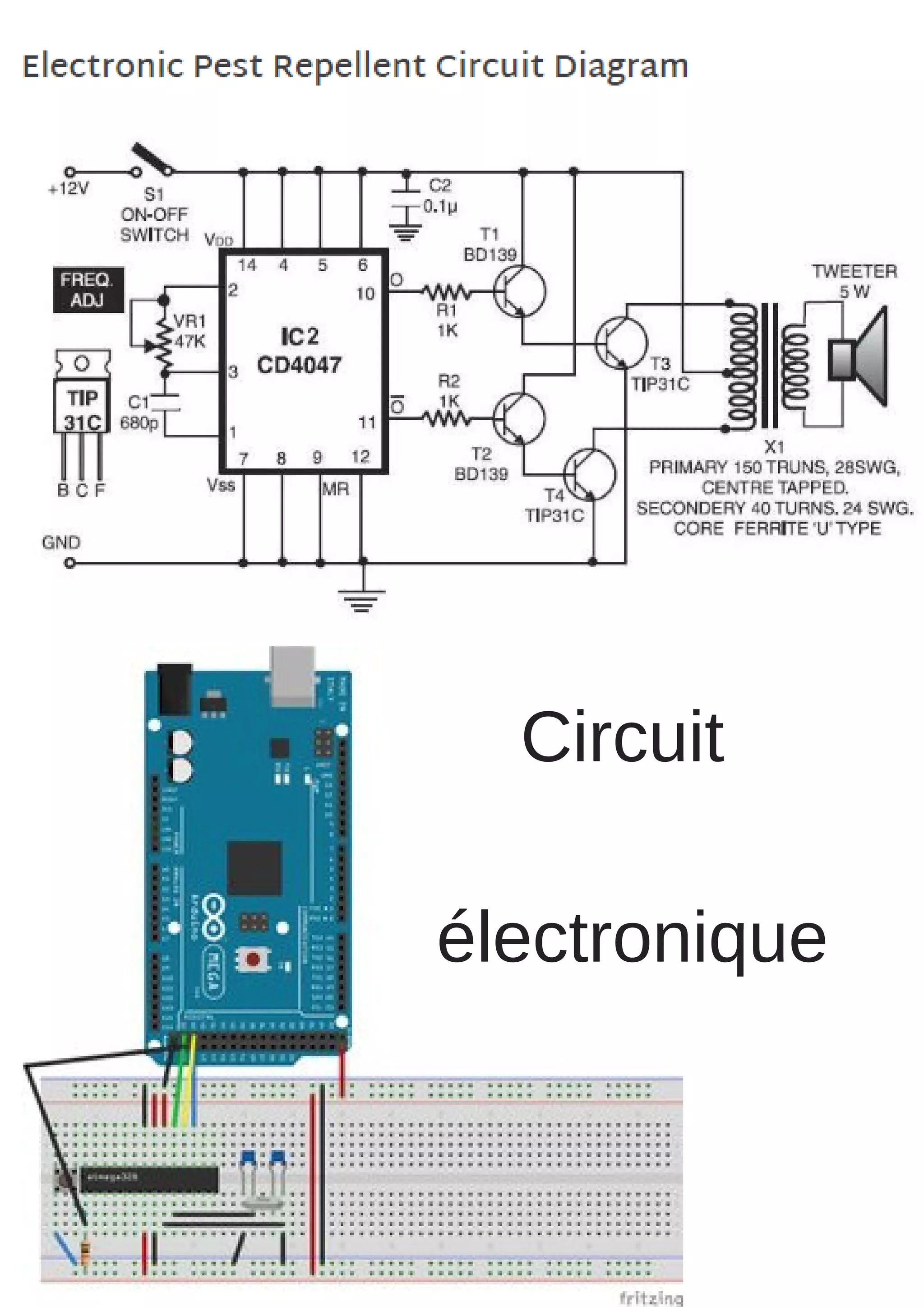MMP - Eradication of Mosquitoes with DIY Bat Houses & Electronic Pest ...